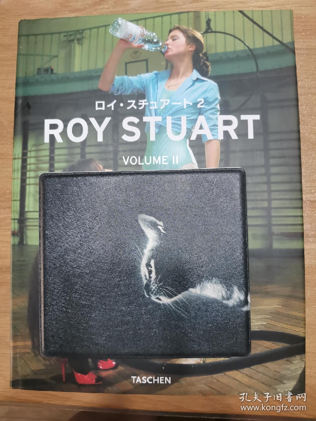 日版Roy Stuart 2_Roy Stuart_孔夫子旧书网