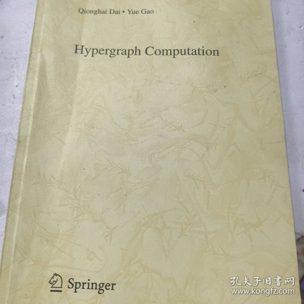 Hypergraph Computation（翻印）_Qionghai Dai 和 Yue Gao_孔夫子旧书网