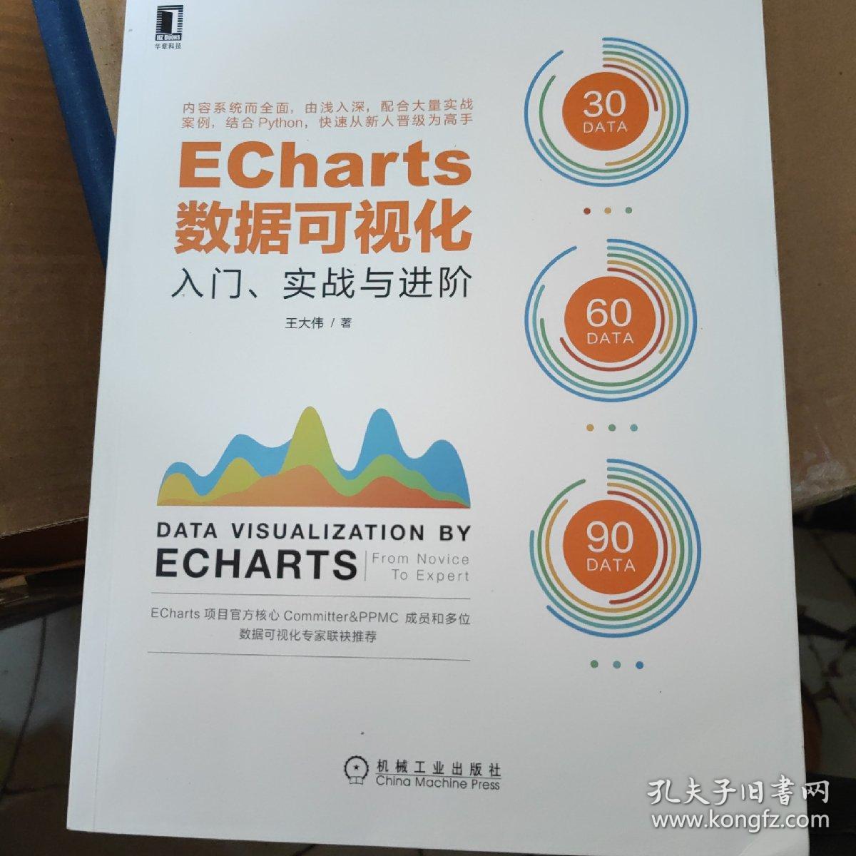 ECharts数据可视化：入门、实战与进阶_王大伟 著_孔夫子旧书网