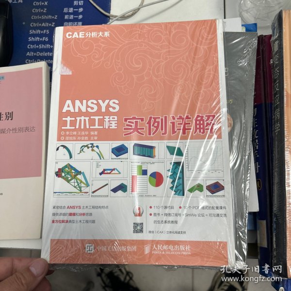 Cae分析大系 Ansys土木工程实例详解 李立峰、王连华 著 孔夫子旧书网