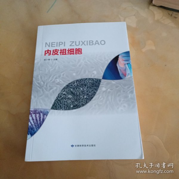 内皮祖细胞 哈小琴 孔夫子旧书网