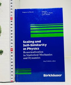 Scaling and Self-Similarity in Physics: Renormalization in Statistical Mechanics and … 原版现货_看图_孔 ...