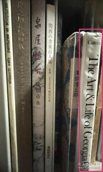 价可议 THE ART&LIFE OF GEORGIA O'KEEFFE 32jq mdy1_Castro, Jan Garden_孔夫子旧书网