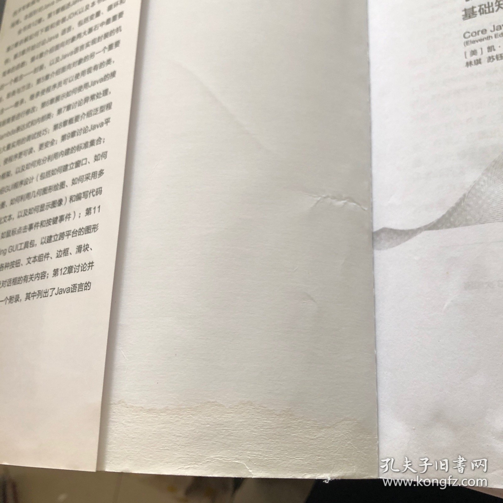 Java核心技术卷i基础知识(原书第11版)凯、s、霍斯特曼cay、s、horstmann 著孔夫子旧书网