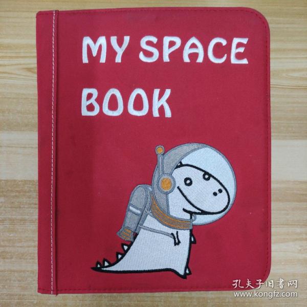 MY SPACE BOOK_孔夫子旧书网