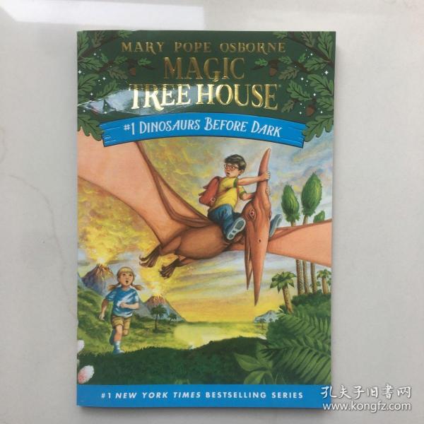 Dinosaurs before Dark (Magic Tree House #1)神奇树屋1：恐龙谷大冒险 英文原版_Mary Pope ...