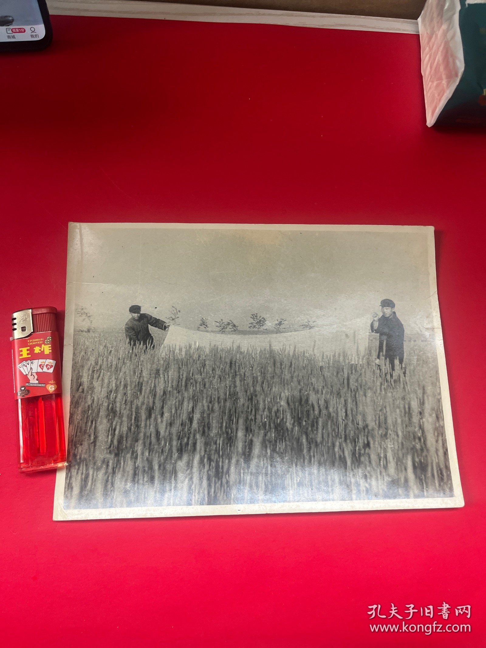 【图】4 月 28 号华中农业大学五十年代老照片4,拍品信息,网上拍卖,拍卖图片,拍卖网,拍卖网站