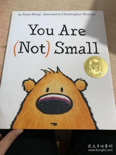 绘画版12开精装you are【 not 】small 你不小_不详_孔夫子旧书网